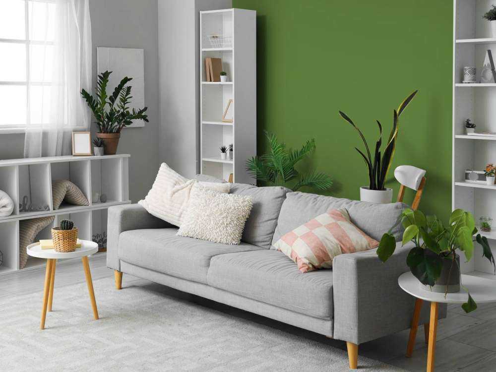 Papier Peint Panoramique Vert Avocat